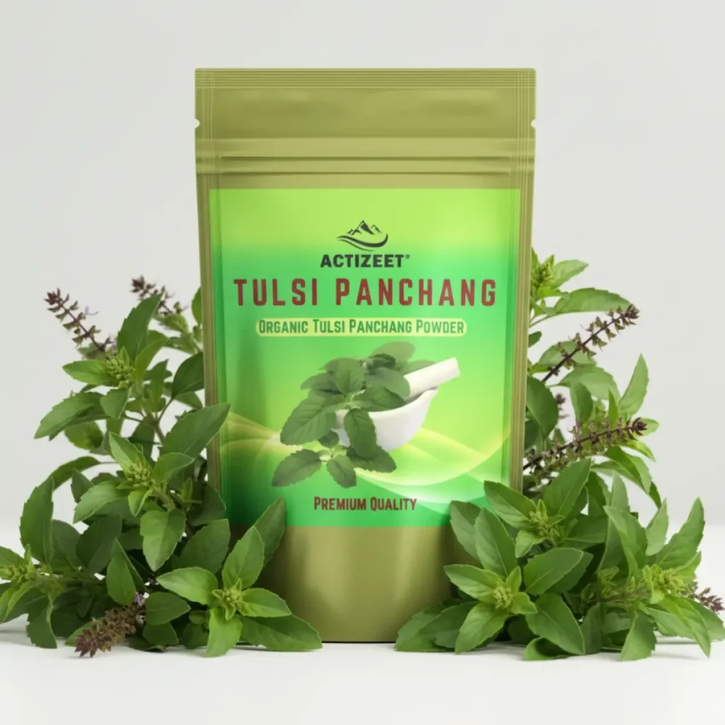 Tulsi Powder | Natural Immunity & Respiratory Support By ACTIZEET