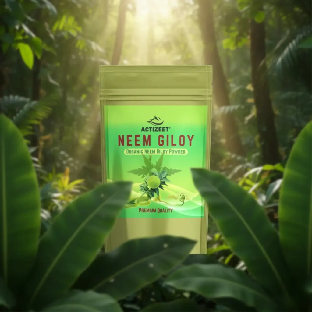 Neem Giloy Powder | Natural Immunity & Detox Support By ACTIZEET